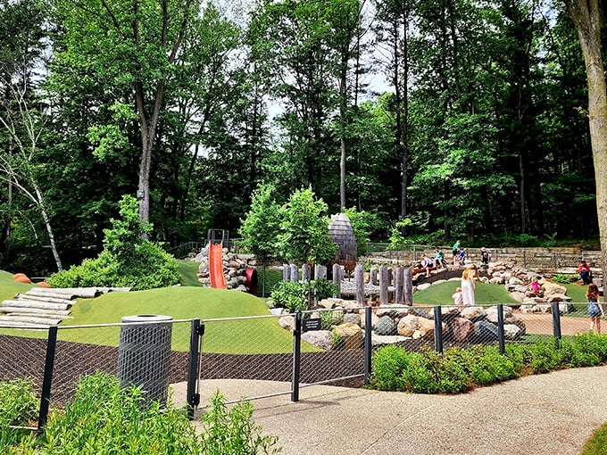 The playground area below offers earthbound fun for those taking a break from their treetop explorations.
