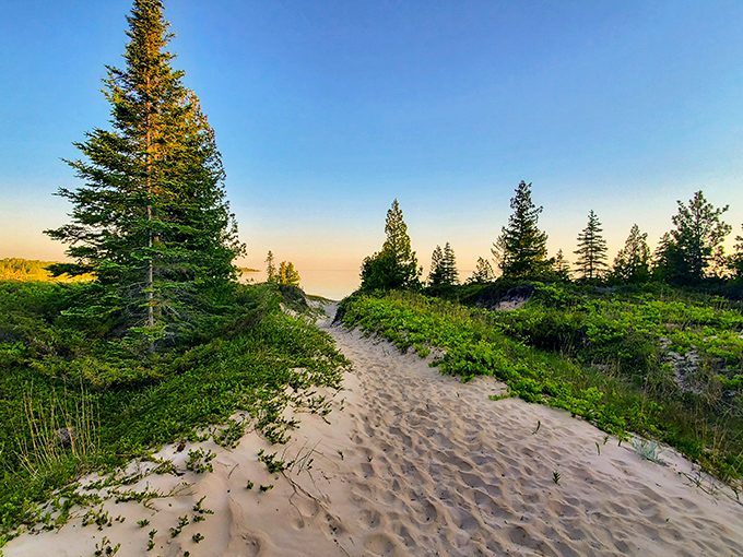 Sandy trails wind through coastal dunes, inviting exploration while whispering stories of glacial formation and ancient lakes.