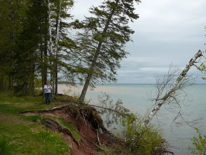Leaning pines and eroding shorelines tell the story of Lake Superior's power, a constant reshaping of Wisconsin's northern edge.