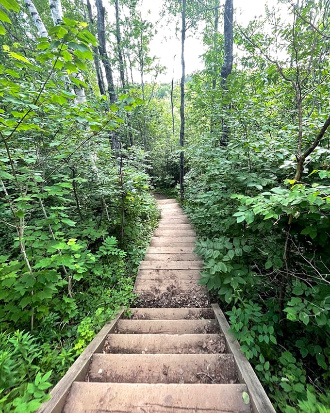 Wooden steps descending into green paradise – like nature's version of the stairway to heaven, minus the guitar solo.