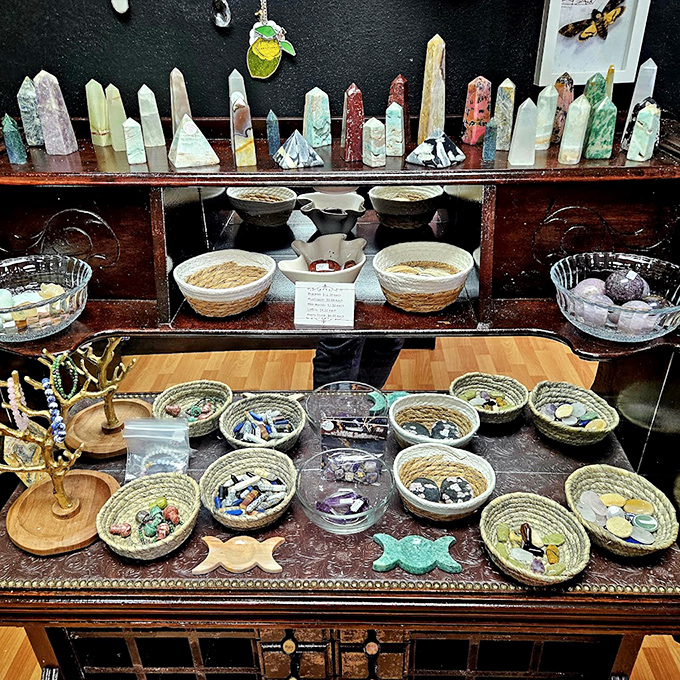 Colorful crystals and mineral specimens catch the light, transforming ordinary rocks into treasures that seem almost magical.