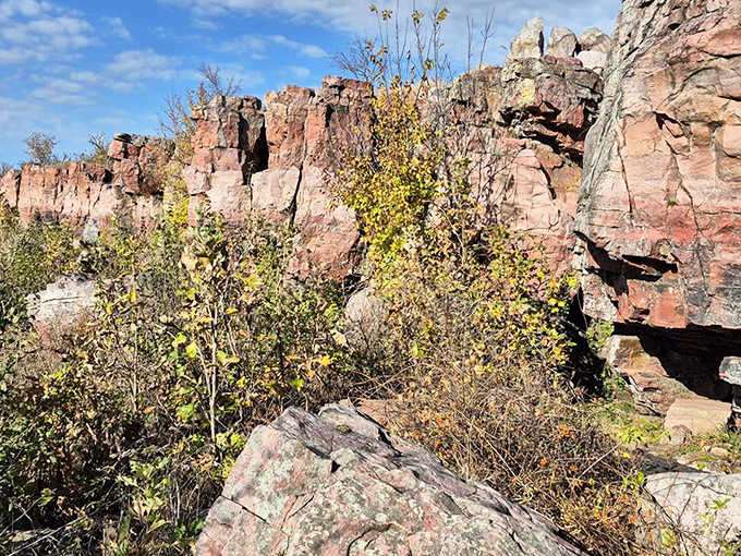Sunlight plays across the ancient quartzite formations, highlighting textures and colors that have developed over eons of geological time.