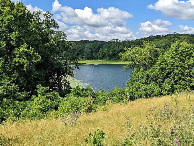 Golden prairie grasses dance in the sunlight, their gentle waves telling stories of glaciers long retreated.
