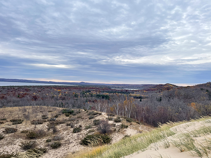 Autumn's paintbrush transforms the landscape into a masterpiece of warm hues against the cool blue backdrop of Lake Michigan.