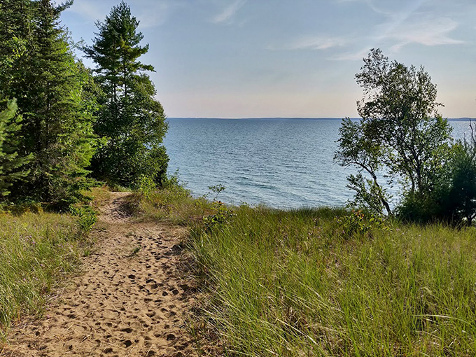 Follow this sandy path through whispering pines to discover why Michiganders keep this trail a closely guarded secret from out-of-staters.