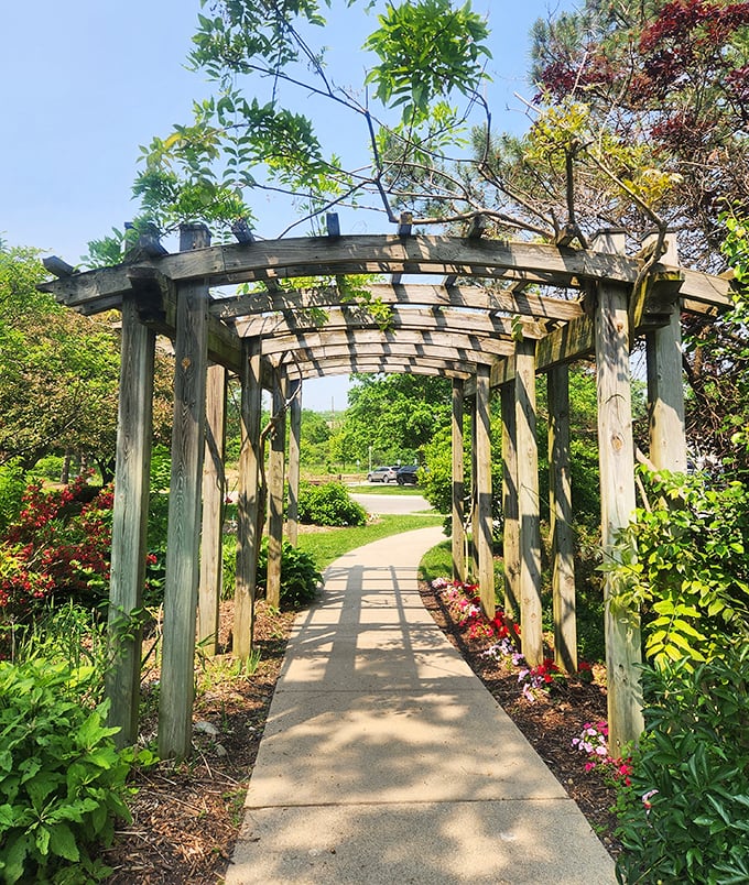 This wooden arbor doesn't just frame the path; it frames memories waiting to be made among the blooms and greenery.