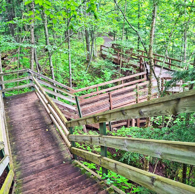 Wooden walkways wind through emerald forests, making this natural wonder accessible while preserving the wilderness experience.