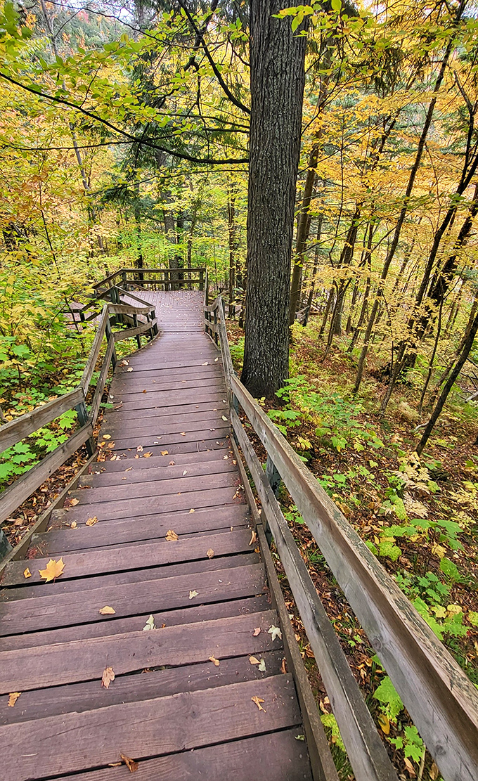 Stairway to waterfall heaven! These wooden steps guide adventurers through a forest cathedral to one of Michigan's most magical hidden gems.