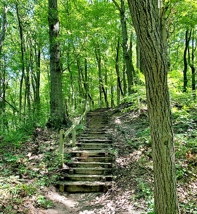 Nature's stairmaster! These wooden steps lead through lush forest to spectacular views worth every huffing step.