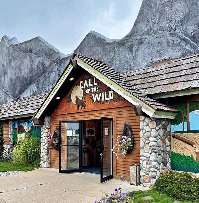 Lifelike animal displays at the Call of the Wild Museum let visitors get nose-to-nose with Michigan's magnificent creatures. The howling wolf silhouette adds a touch of wilderness drama.