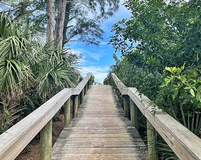 Beach Access Boardwalk: The wooden pathway to paradise &ndash; where each step brings you closer to leaving your worries behind.