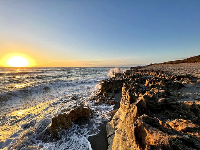 Golden hour at Blowing Rocks transforms the rugged coastline into a painter's dream, with warm light dancing across limestone and sea.