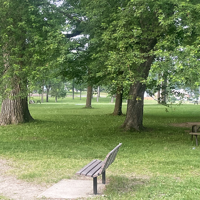 Bellevue Park's green expanse invites visitors to do absolutely nothing at all – perhaps the most luxurious activity in our overscheduled world.