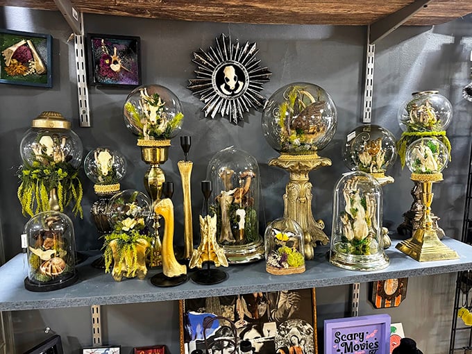 Tiny worlds under glass&mdash;these bone terrariums capture moments of natural beauty in scientific snow globes.