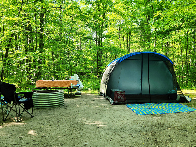 Camping nirvana: Where your morning coffee comes with a side of birdsong and your bedroom ceiling is a canopy of stars.