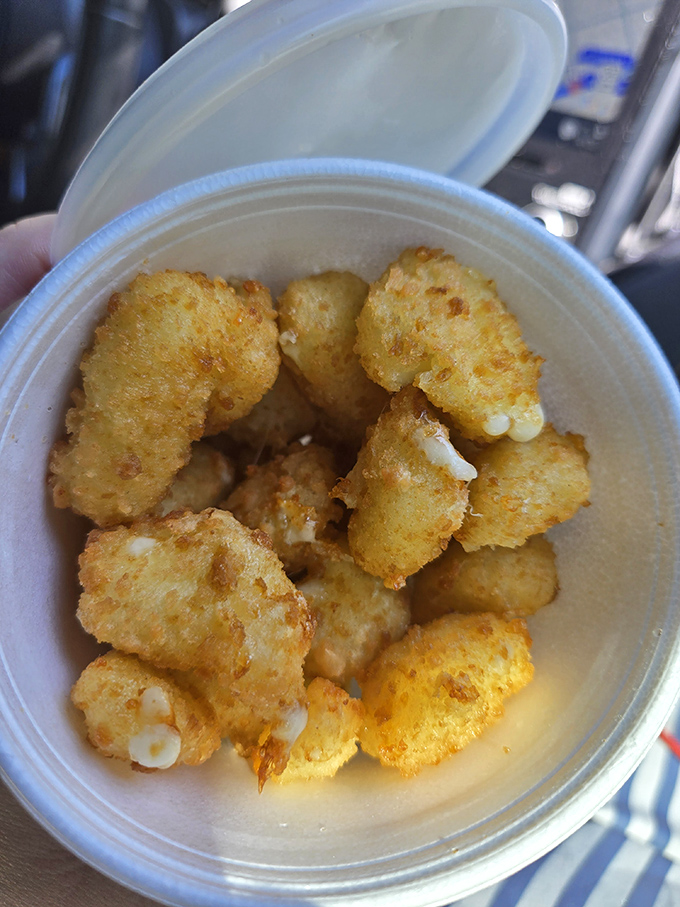 These aren't just cheese curds, they're golden nuggets of joy that make Wisconsin nervous about its dairy dominance.