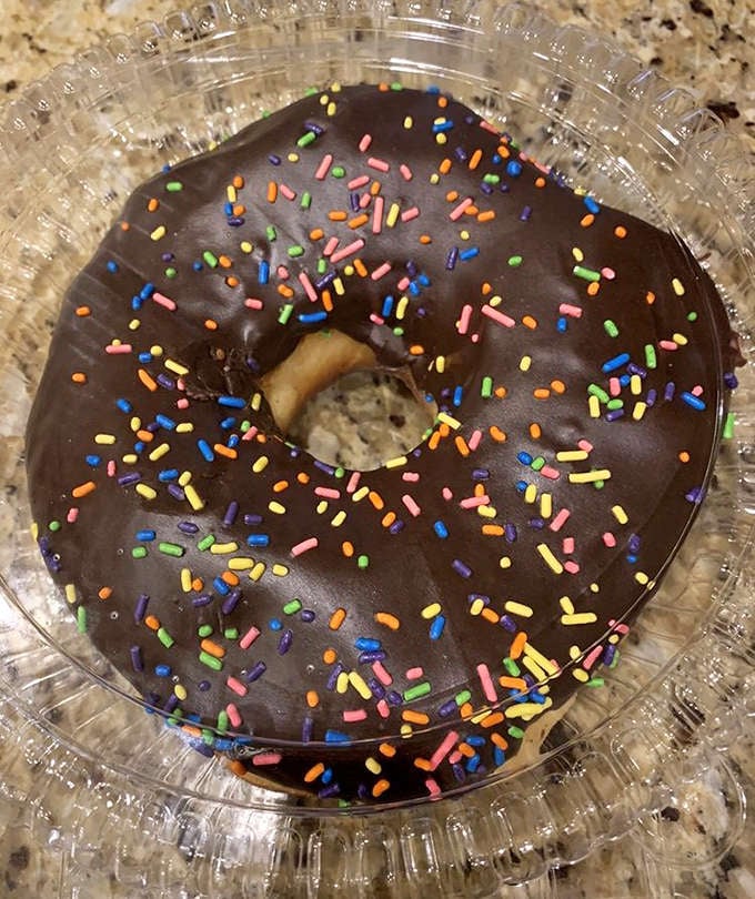 This chocolate donut with rainbow sprinkles isn't just breakfast – it's a time machine back to childhood joy, one bite at a time.