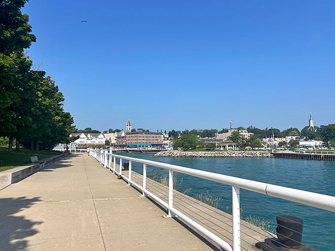 Coal Dock Park's waterfront walkway provides views that make smartphone cameras work overtime and conversations naturally pause mid-sentence.