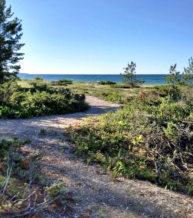 The coastal nature trail winds through native vegetation, offering glimpses of Lake Huron's blue expanse between the greenery &ndash; nature's perfect frame.