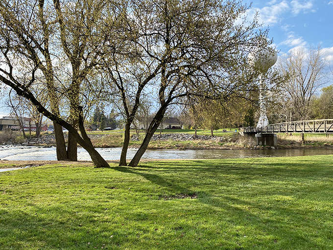 Cole Park's riverside setting creates the perfect backdrop for lazy afternoons when doing nothing is exactly the right plan.