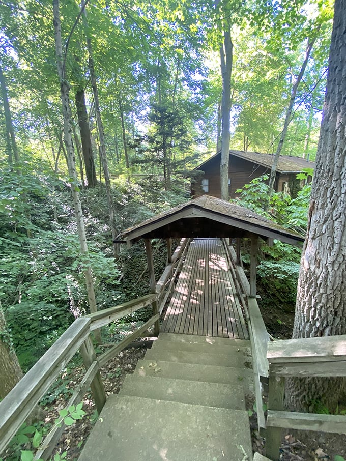 Rustic charm meets functionality on this covered woodland pathway connecting the campground's amenities through a canopy of Michigan greenery.