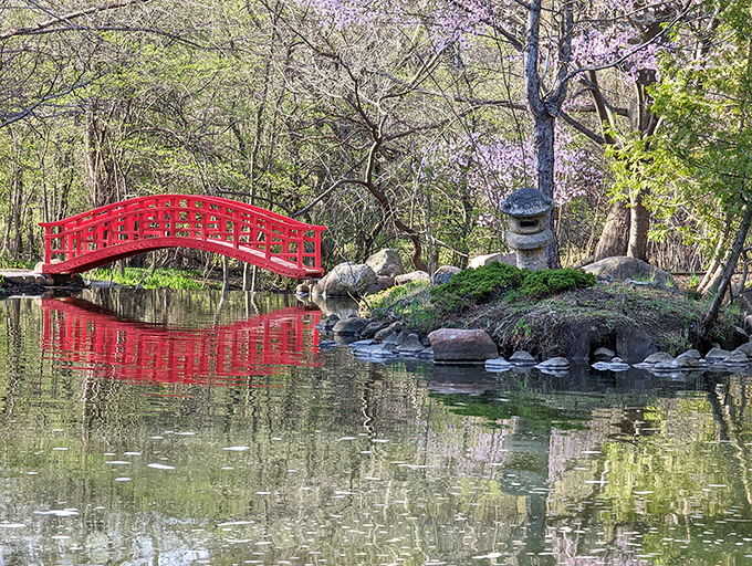 The Japanese garden's red bridge arches gracefully over still waters, creating a moment of zen that makes even rush-hour traffic seem like a distant memory.
