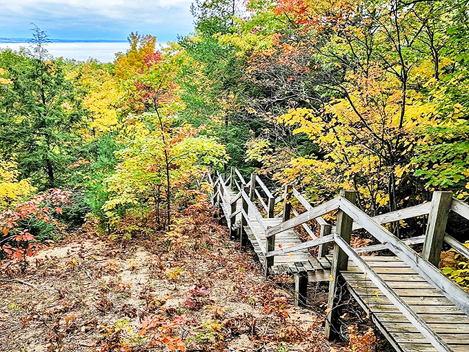 The wooden staircase descends through autumn splendor, each step bringing you closer to Lake Michigan's fossil-rich shoreline.