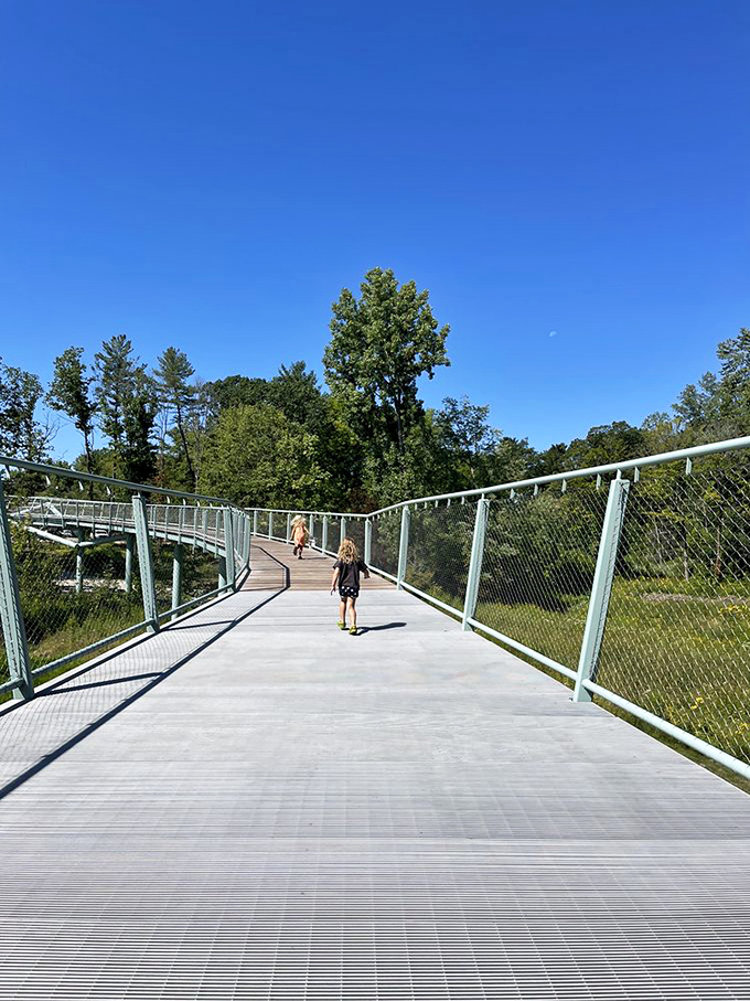 The elevated walkway offers a squirrel's-eye view of the forest, proving sometimes the best way to see nature is from above.