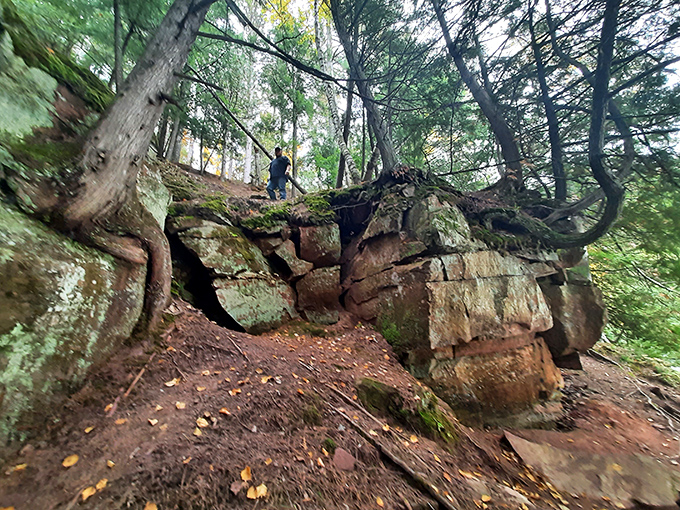 This forest path whispers promises of discovery &ndash; leading visitors through dappled sunlight toward the symphony of rushing water ahead.