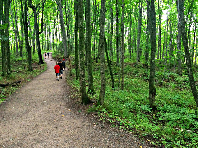 When the trail ahead looks this inviting, it's hard to remember why you ever considered staying home on the couch.