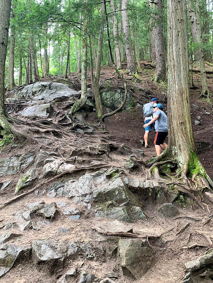 The trail's natural staircase of roots and rocks provides the kind of workout that makes gym memberships seem silly.