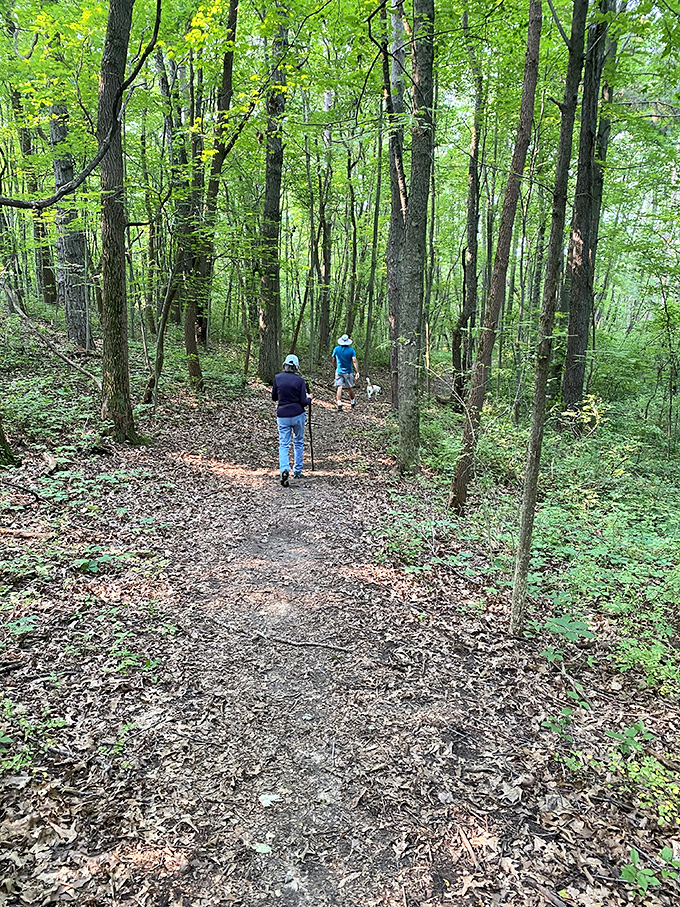 Natural trails wind through the forest where the only traffic jam you'll encounter involves deciding which scenic path to take next.
