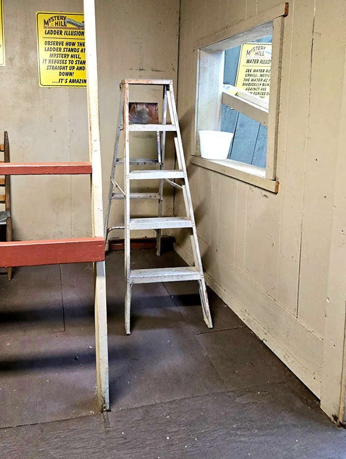 This ladder defies every instinct you have about how ladders should behave, standing at an angle that would make any contractor reach for their level in disbelief.