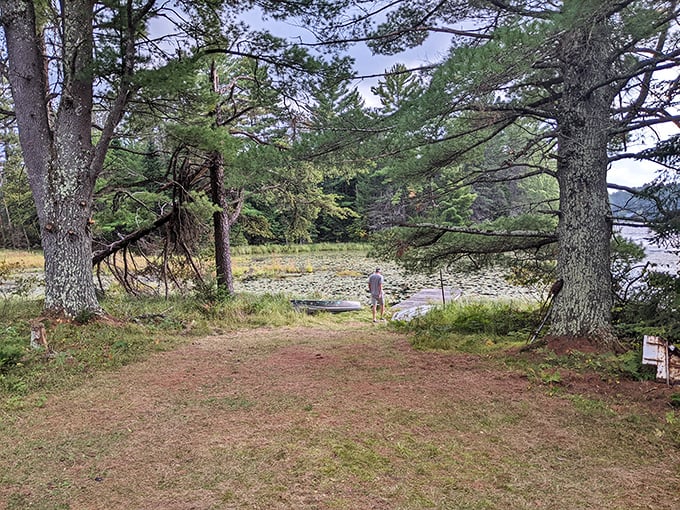 Nature and fantasy merge at the castle's serene lake, where visitors can pause for reflection among the pines.