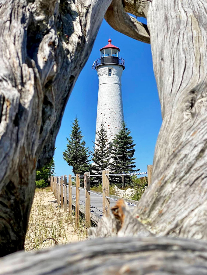 Nature frames its own masterpiece &ndash; the lighthouse viewed through weathered driftwood tells stories of time, elements, and endurance.