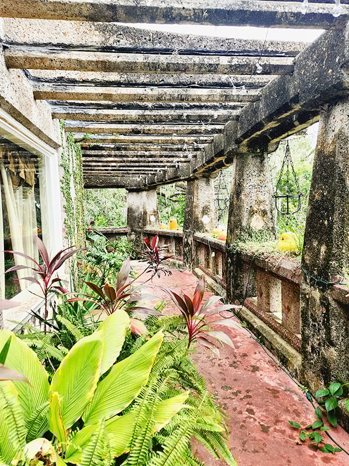 This weathered pergola corridor feels like walking through time itself, with tropical plants reaching through decades-old stonework.