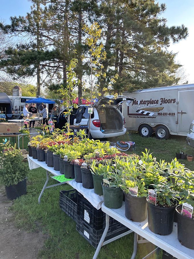 Green thumbs rejoice! Local plant vendors offer everything from hardy perennials to delicate houseplants perfect for Minnesota homes.