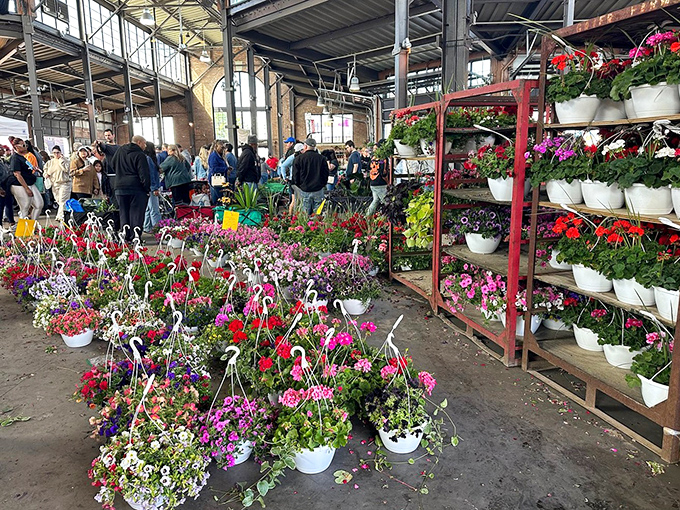 Hanging baskets and potted perennials create a temporary jungle where market-goers can bring a piece of Michigan's growing season home.