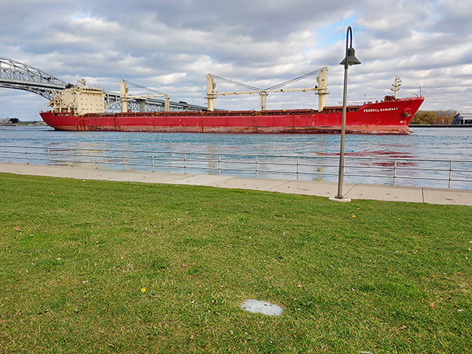 The vibrant red freighter creates a striking contrast against the blue water, like a massive brushstroke of color on nature's canvas.