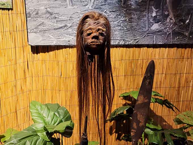 This alleged shrunken head display combines anthropological fascination with the slightly unsettling feeling that it might be watching you back.