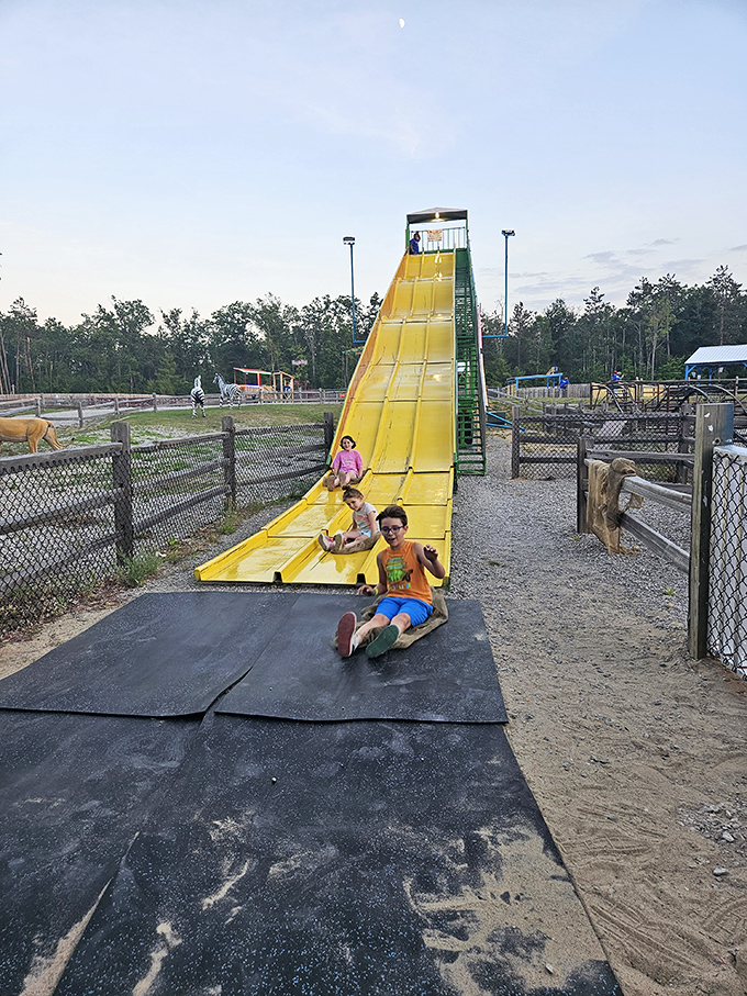 This giant yellow slide proves the simplest attractions often create the most lasting memories. The combination of height, speed, and minimal padding equals childhood bliss.