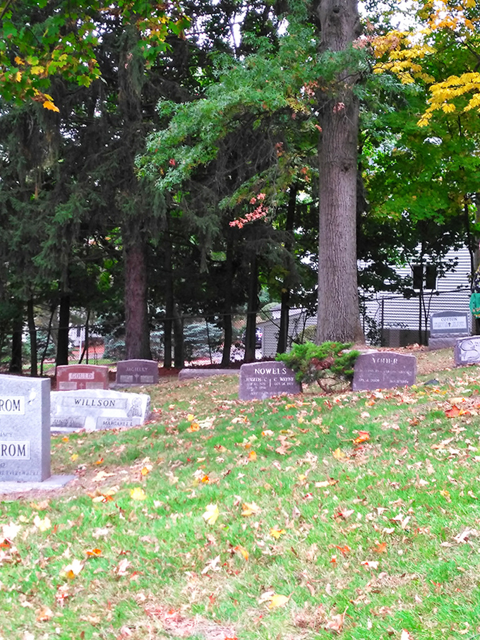 Autumn leaves carpet the gentle slopes, where some visitors swear their cars mysteriously roll uphill against all laws of physics.