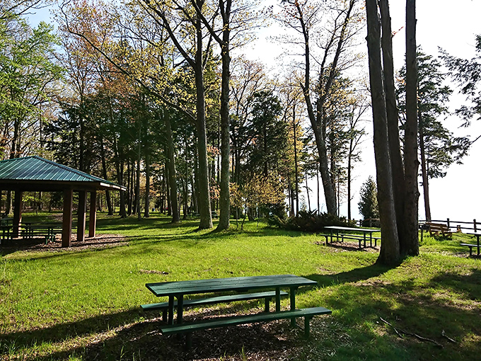 Sundling Park provides peaceful respite with picnic tables nestled among towering trees, just steps from the gently flowing river.