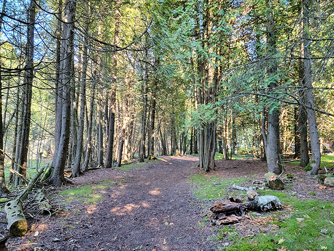 Toft Point's forest trails wind through ancient cedars and ferns &ndash; where the modern world fades with each step deeper into the woods.