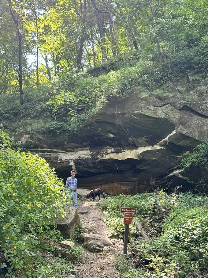 Where earth meets sky: The dramatic entrance to Big Sand Cave creates a perfect frame for the forest beyond.
