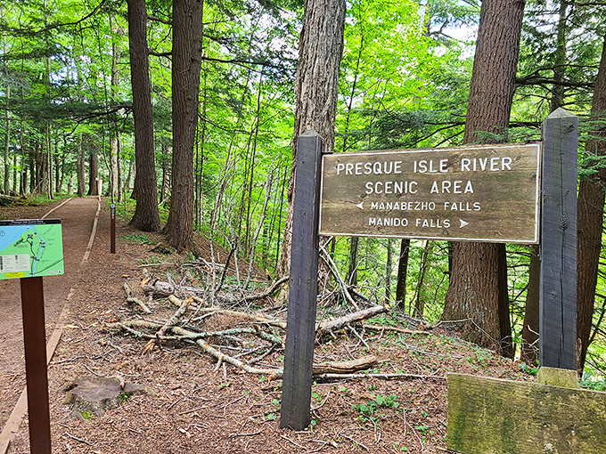 Trail markers stand sentinel among towering pines, promising adventures in both directions &ndash; choose your own waterfall odyssey!