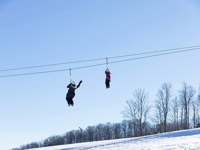 Double the fun! Tandem zipliners glide through winter's crisp air, creating memories and friendly competition about who screamed louder.