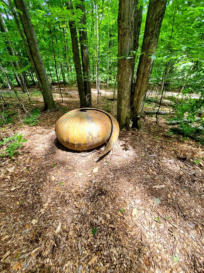 "Unravel" snakes through the forest floor like a playful ribbon, its red and white segments creating a visual pathway among the trees.