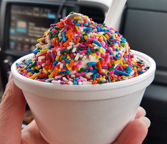 Simple perfection: vanilla custard adorned with a rainbow explosion of sprinkles &ndash; childhood joy in edible form.