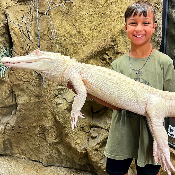 That smile says it all when you're holding a creature that most people only see in their nightmares or nature documentaries.